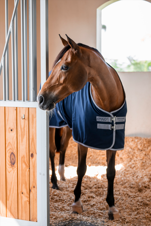 Amigo® Stable Sheet + FREE Custom Name Tag! – Picov's Tack Shop