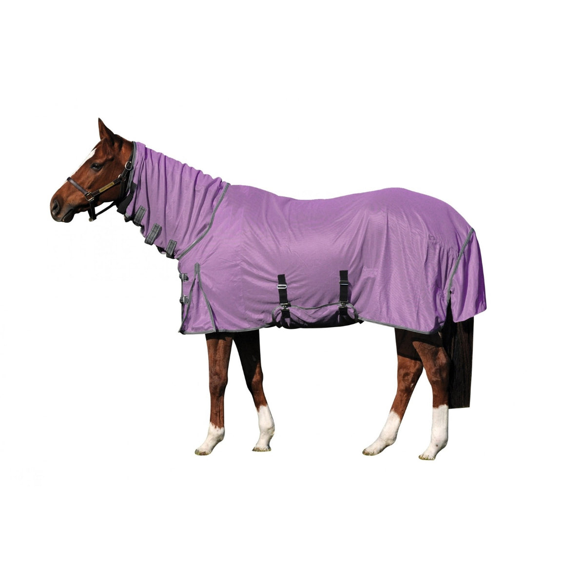 Century Deluxe Fly Sheet with Extended Neck – Picov's Tack Shop