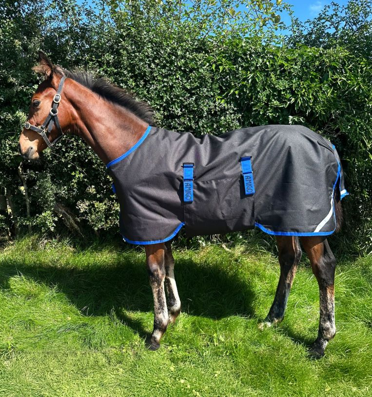 Amigo® Ripstop 900D Foal Turnout Blanket - 200 G – Picov's Tack Shop