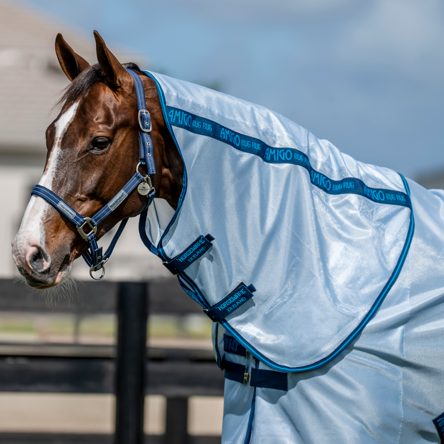 Amigo® Bug Rug Plus Fly Sheet + FREE Custom Name Tag! – Picov's Tack Shop