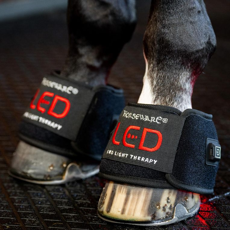Horseware® LED Red Light Therapy Mini Wrap – Picov's Tack Shop