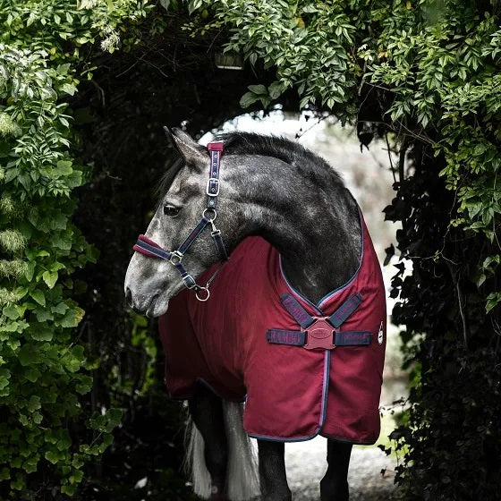 Rambo® Helix Stable Sheet with Disc Front Closure + FREE Custom Name T ...