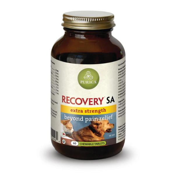 Purica® Pet Recovery Extra Strength - 60 Chewables – Picov's Tack Shop