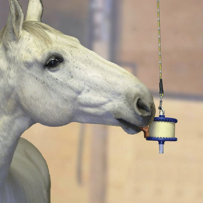 Likit Holder with Refill – Picov's Tack Shop