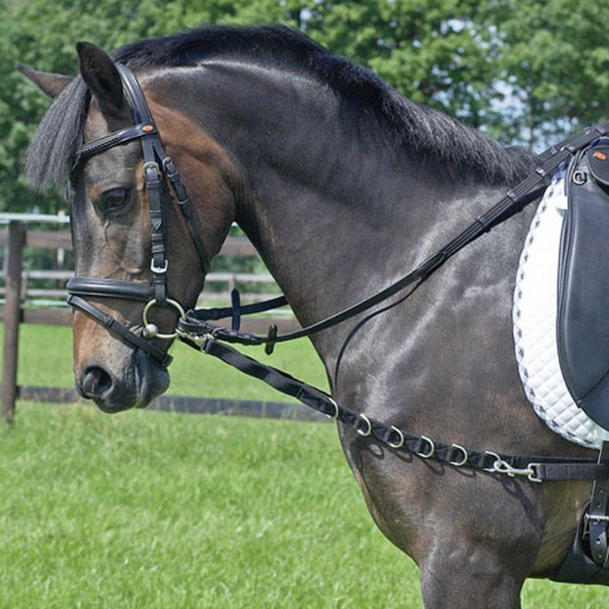 Web Side Reins with Elastic – Picov's Tack Shop